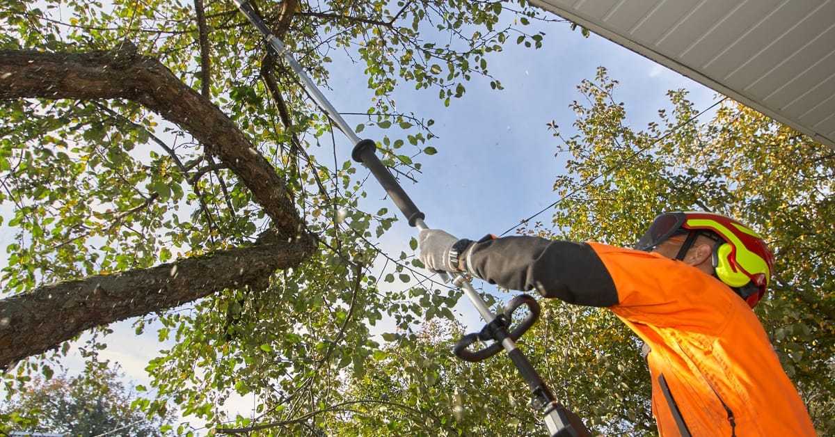9 Reasons Residential Vegetation Management Is Important