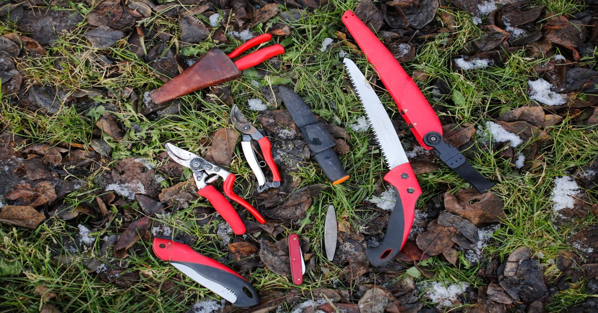 The Art of Tree Pruning: What Are the 5 Ds of Tree Pruning? - All ...