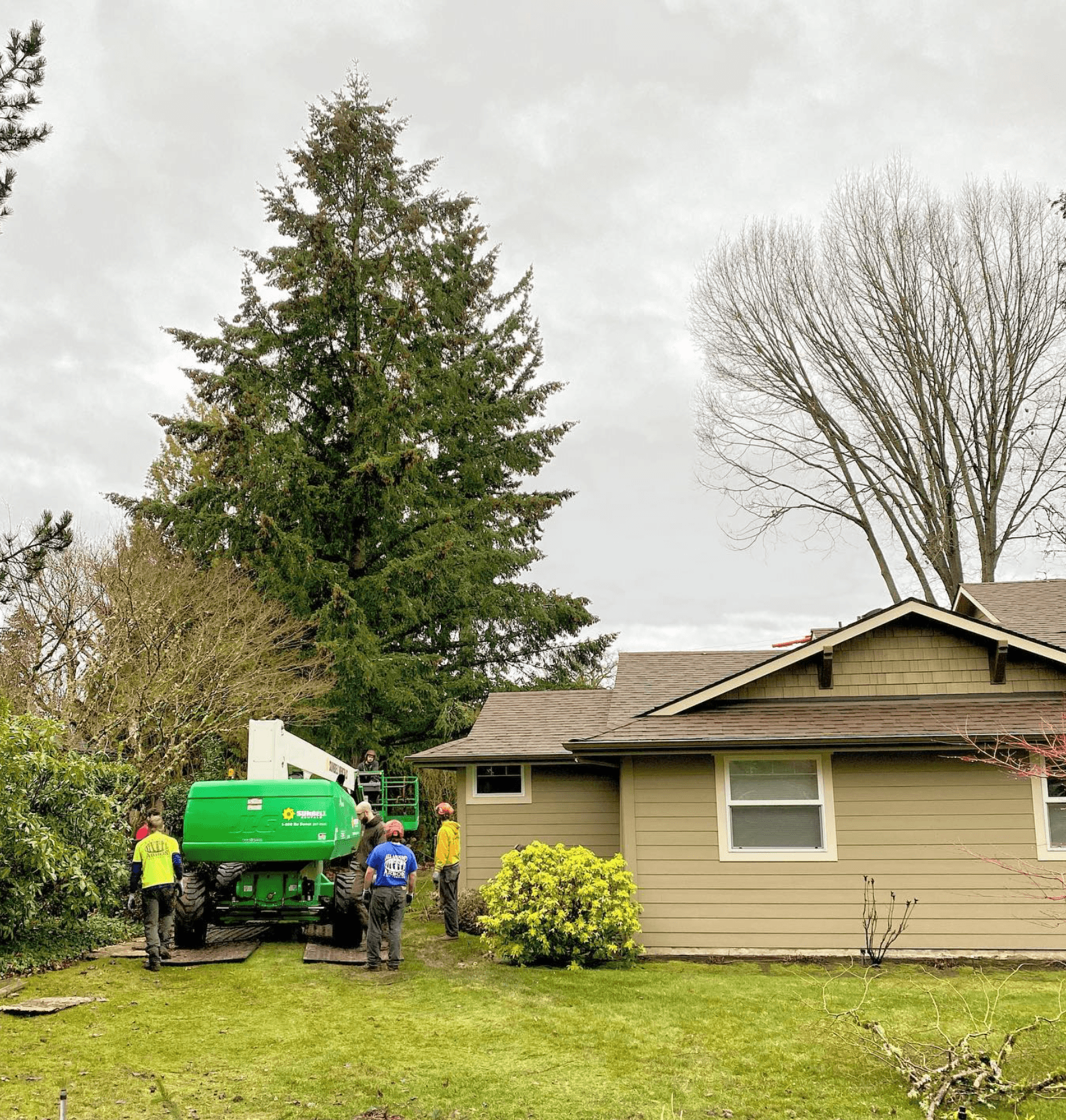 Tree Permits - All Around Arbor Tree Service